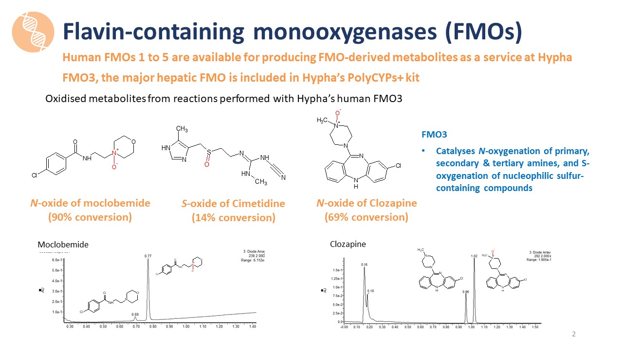 All five human FMO isoforms now available at Hypha - Hypha Discovery