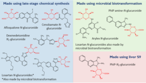 Late-stage Synthesis of N-glucuronide Metabolites - Hypha Discovery ...