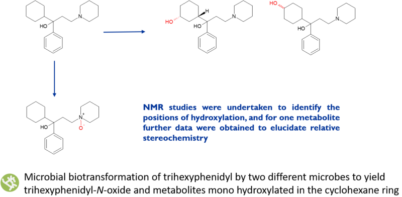 Regio-selective Formation of N-oxide Metabolites - Hypha Discovery