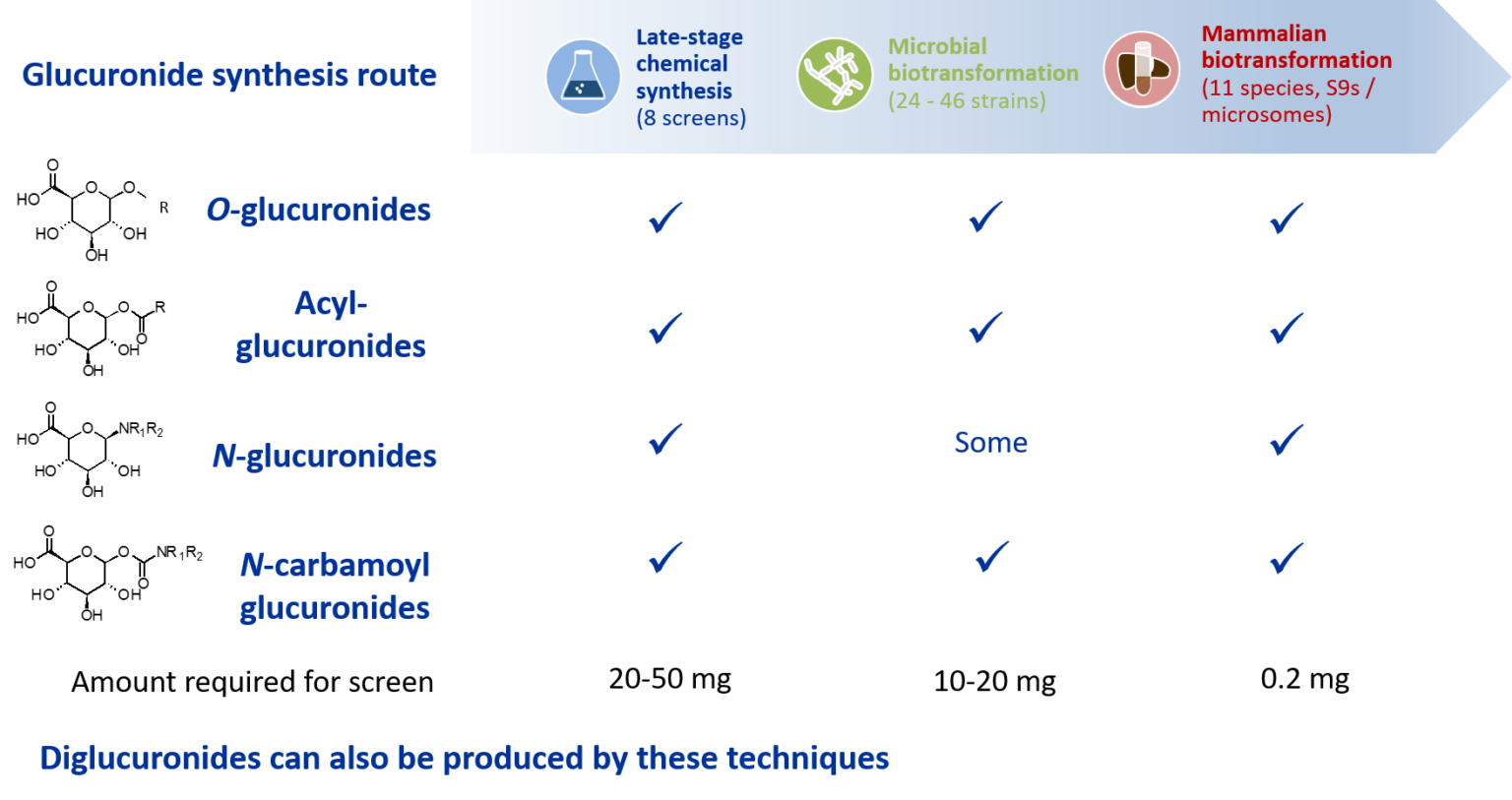 Glucuronide synthesis - Hypha Discovery