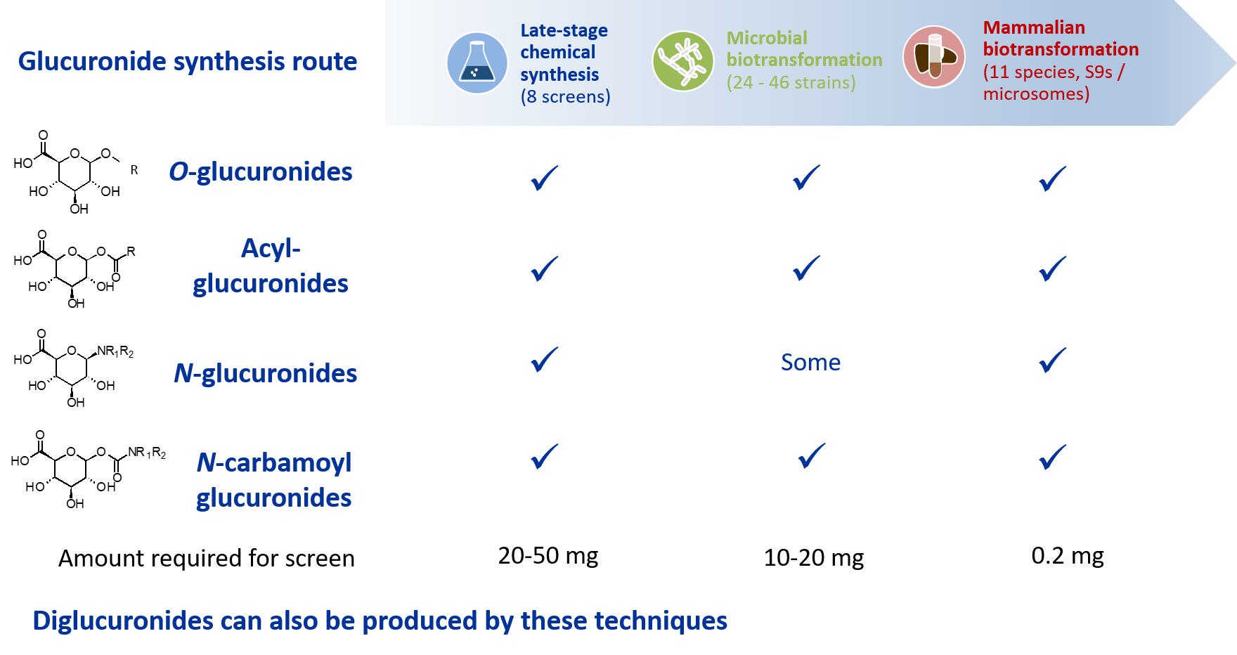Glucuronide synthesis - Hypha Discovery