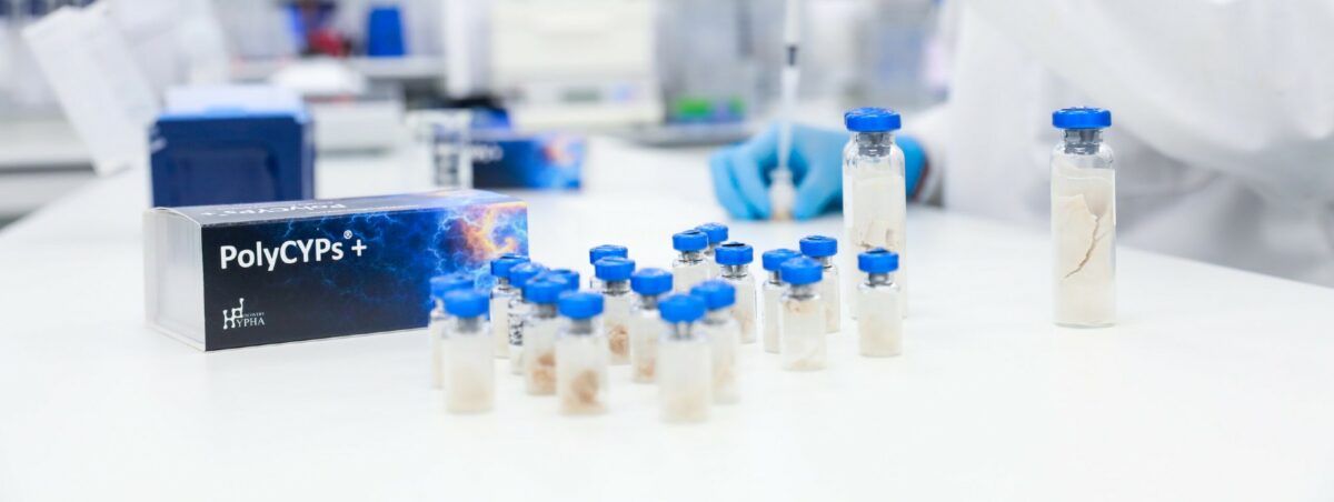 CYP Metabolite Synthesis - Hypha Discovery