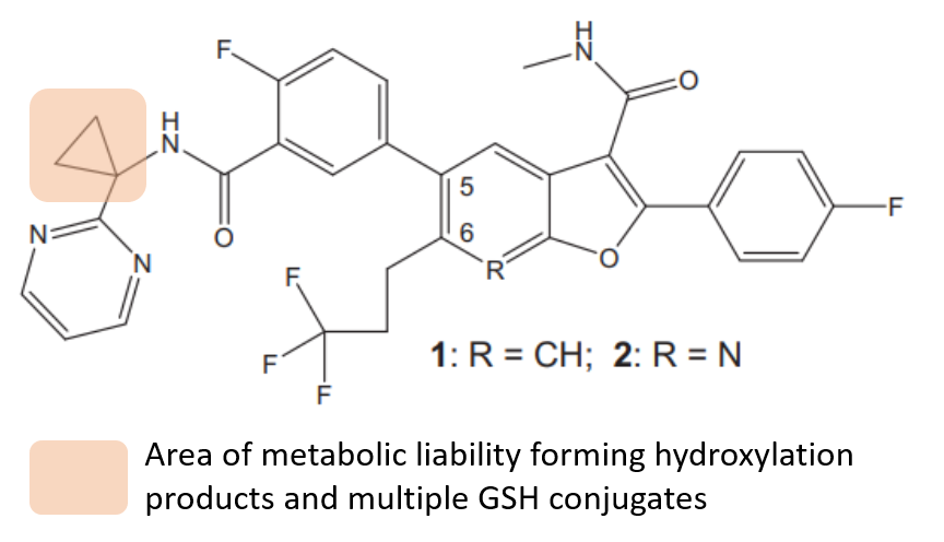 Metabolism of cyclopropyl groups - Hypha Discovery Blogs