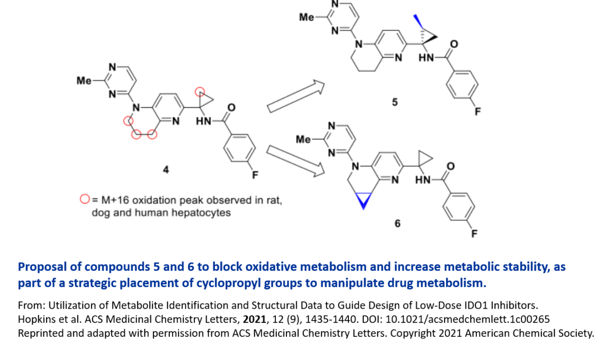 Metabolism of cyclopropyl groups - Hypha Discovery Blogs