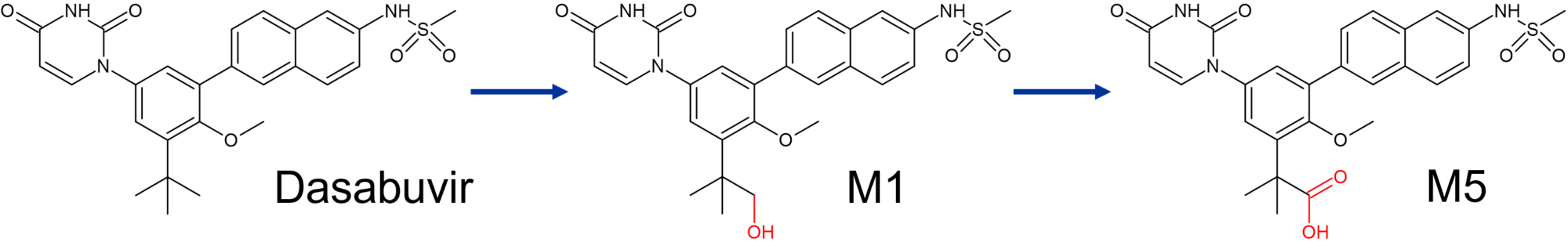 Metabolism of t-butyl groups in drugs - Hypha Discovery Blogs