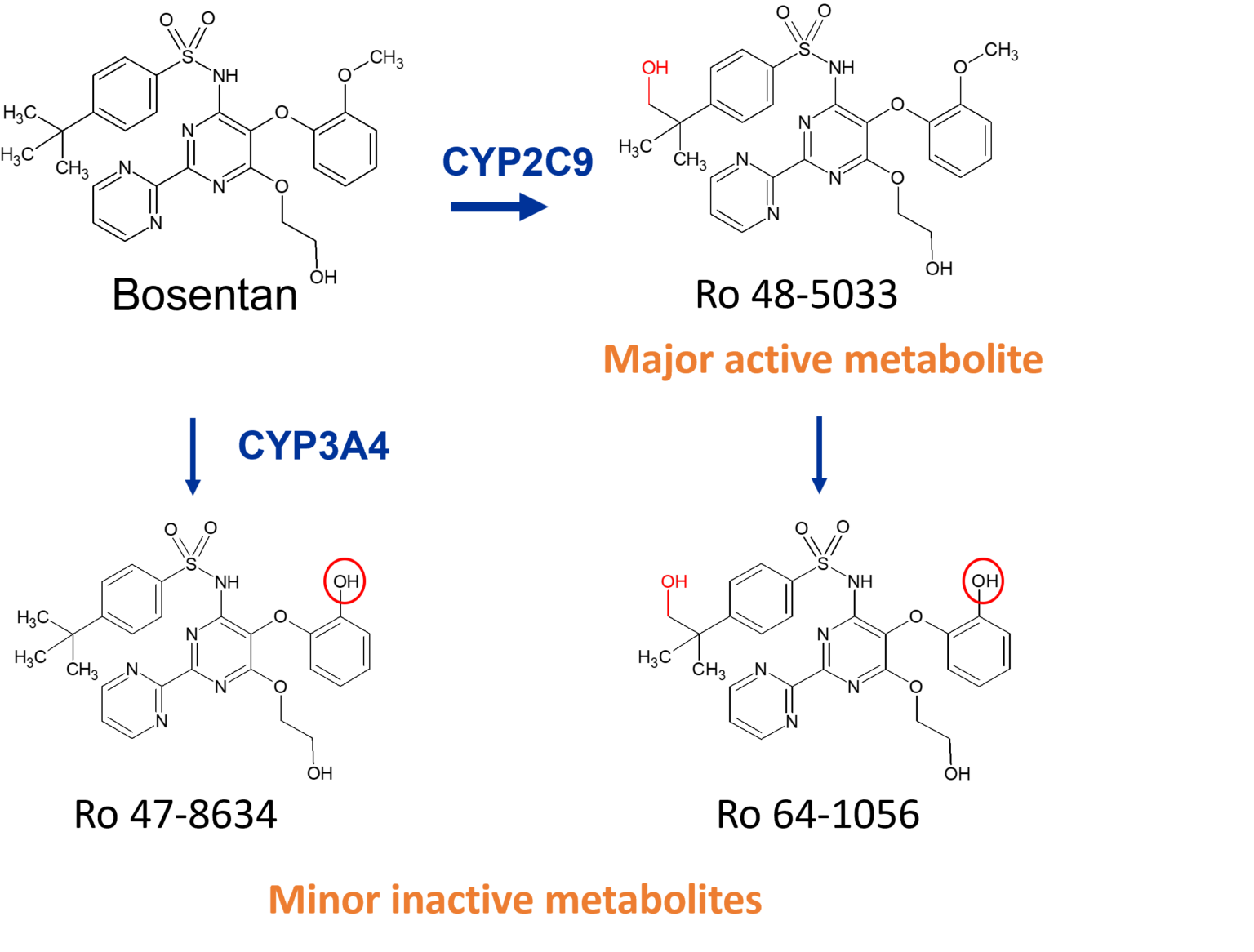 Metabolism of t-butyl groups in drugs - Hypha Discovery Blogs