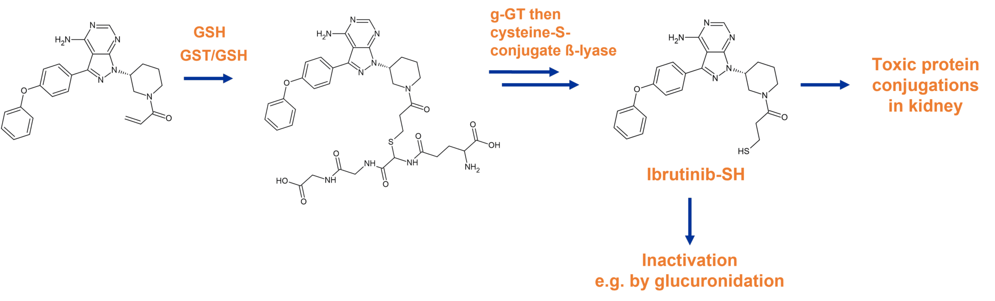 Covalent drugs: metabolism stories - Hypha Discovery Blogs