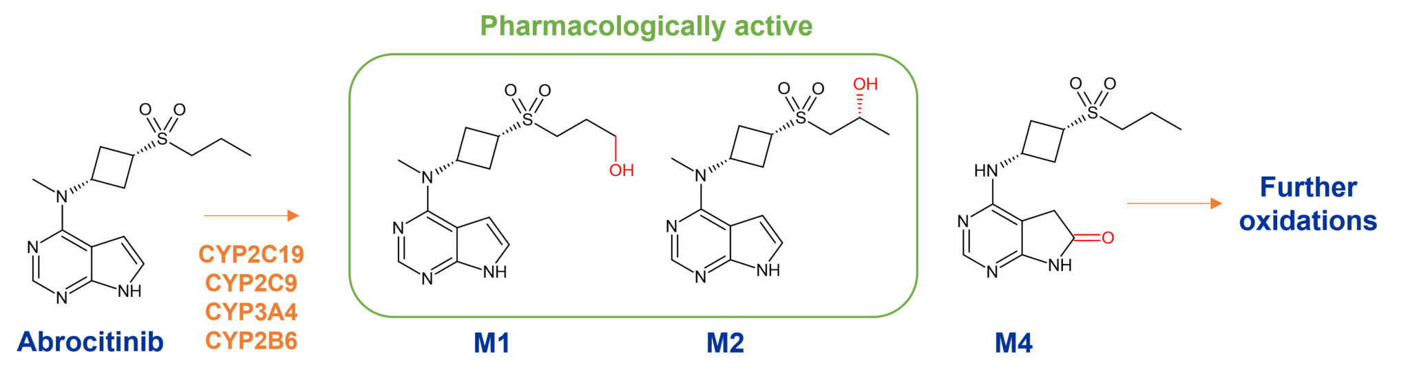 Metabolism of 2022 FDA approved small molecule drugs PART 2 - Hypha ...