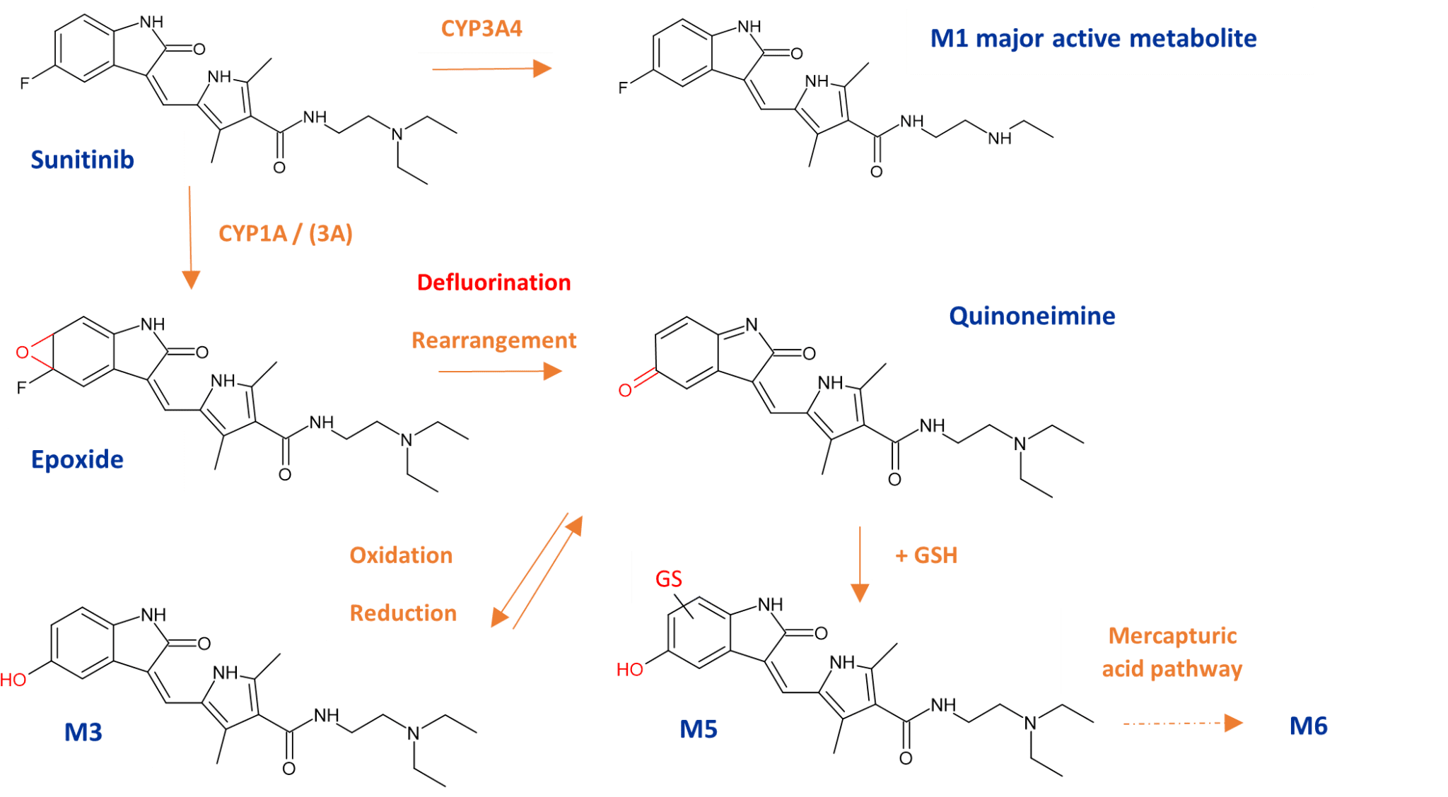 Breaking C-F bonds in drugs - Hypha Discovery Blogs