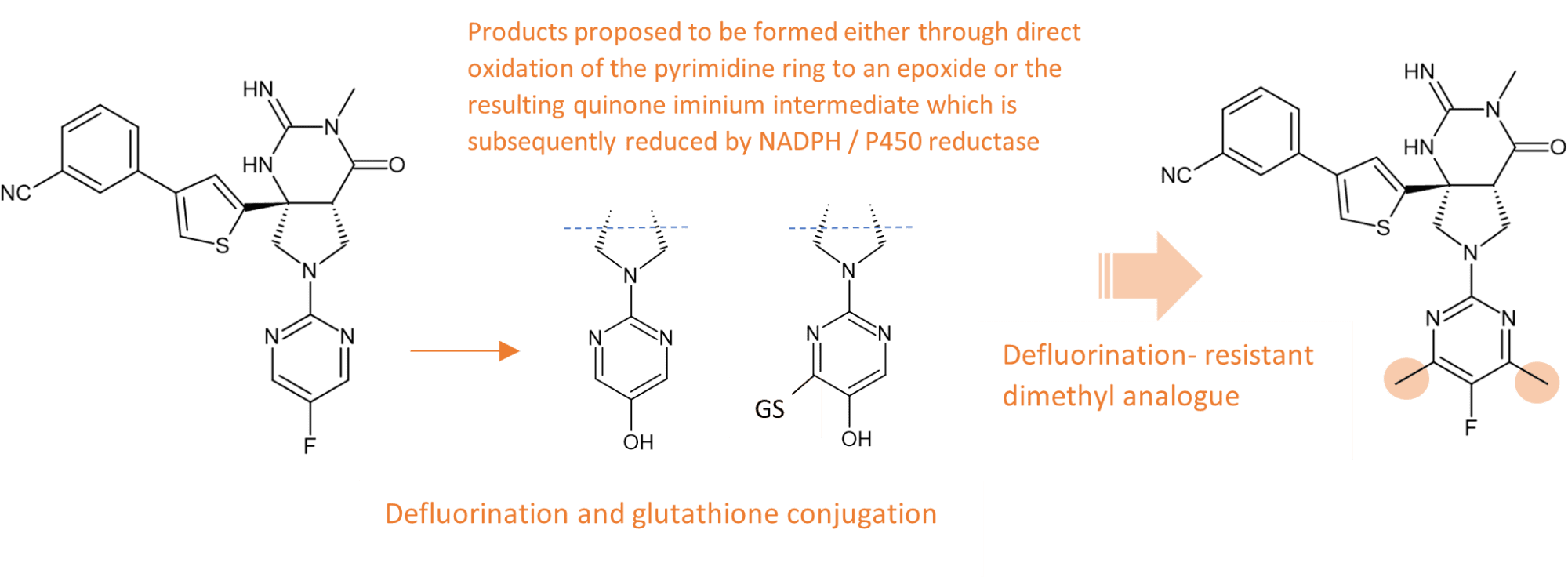 Breaking C-F bonds in drugs - Hypha Discovery Blogs