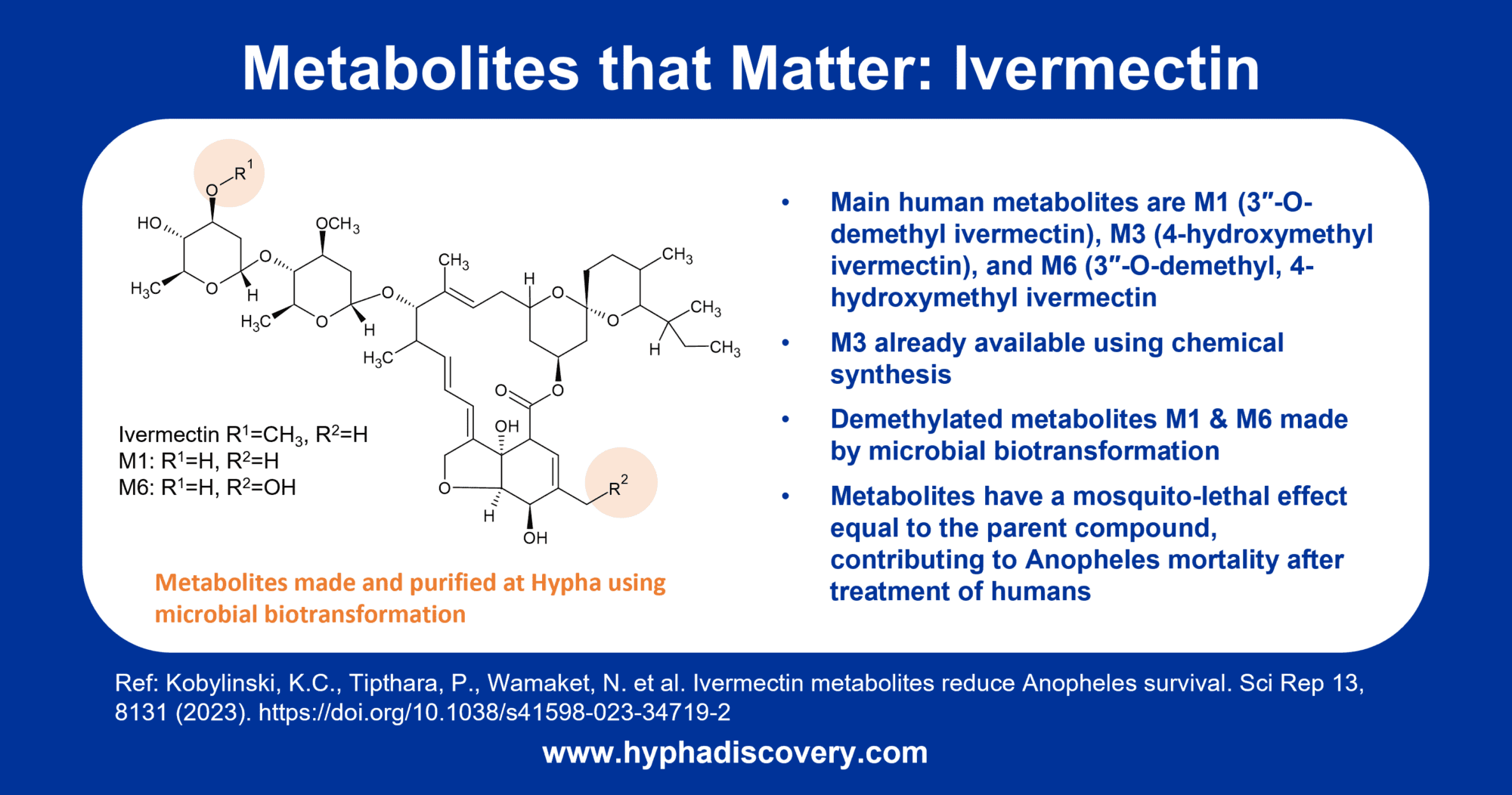 Metabolites That Matter Ivermectin Hypha Discovery