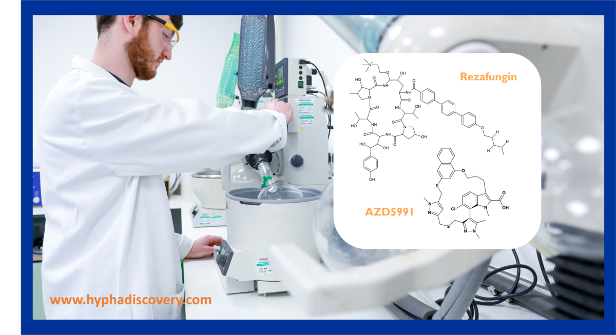 Hypha Discovery - Experts in metabolite synthesis, purification and MetID