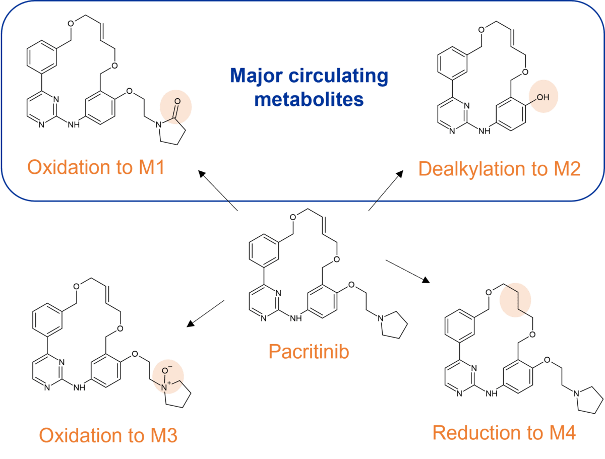 Metabolism of macrocyclic drugs - Hypha Discovery Blogs