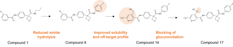 N-glucuronidation: the human element - Hypha Discovery Blogs