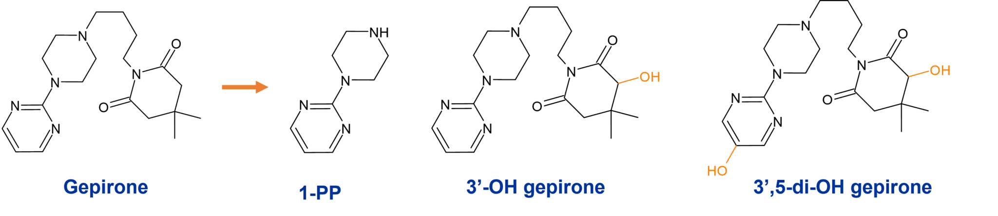 Metabolism of 2023 FDA Approved Small Molecules - PART 1 - Hypha ...
