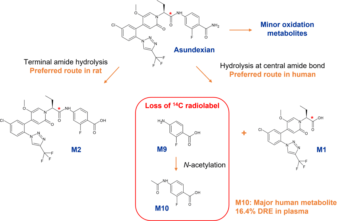 Metabolism-mediated loss of radiolabel - Hypha Discovery
