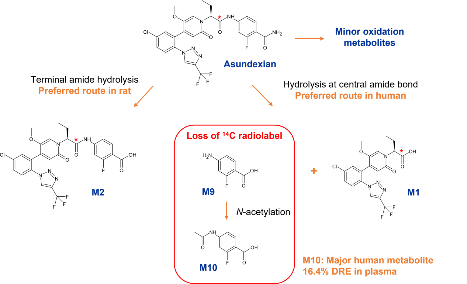 Metabolism-mediated loss of radiolabel - Hypha Discovery