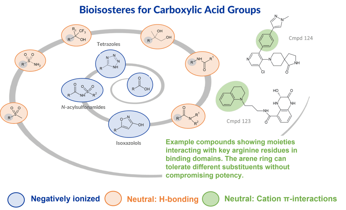 Bioisosteres for carboxylic acid groups - Hypha Discovery