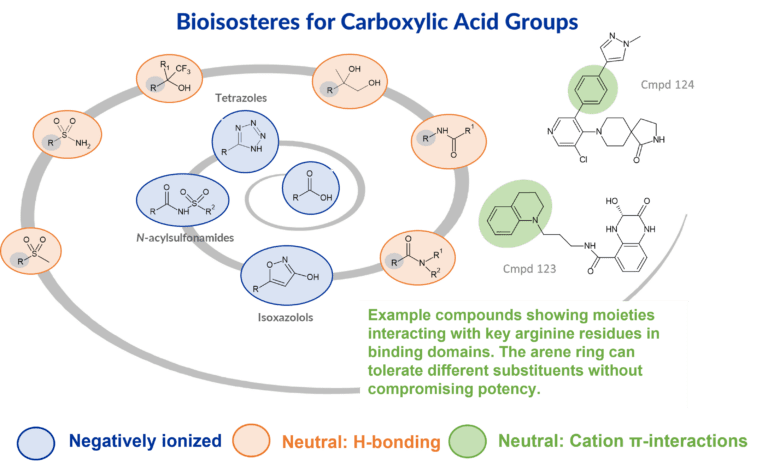 Bioisosteres for carboxylic acid groups - Hypha Discovery