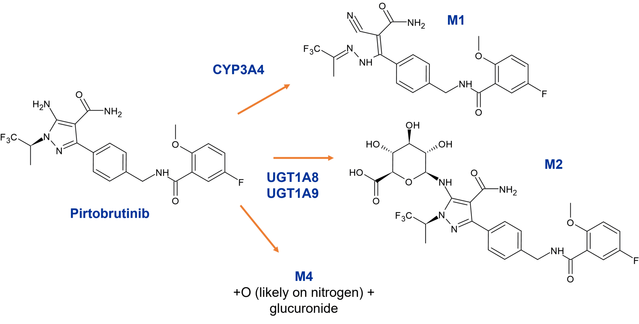 Metabolism of 2023 FDA Approved Small Molecules - PART 2 - Hypha ...