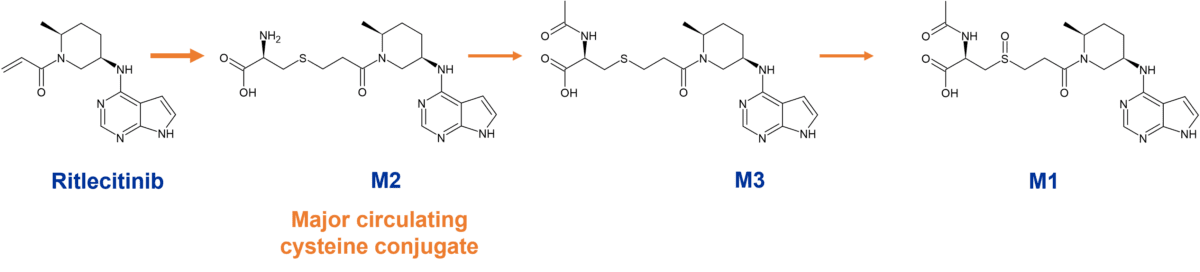 Metabolism of 2023 FDA Approved Small Molecules - PART 2 - Hypha ...