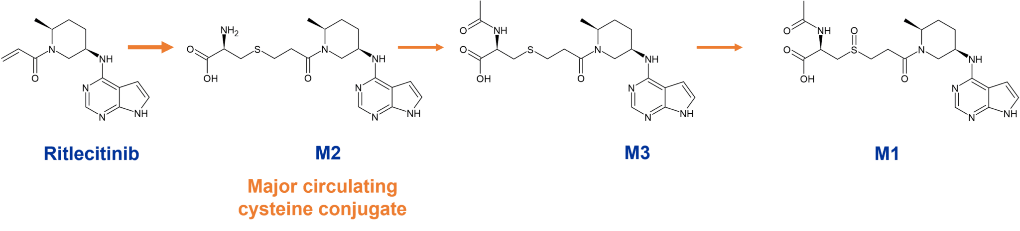 Metabolism of 2023 FDA Approved Small Molecules - PART 2 - Hypha ...
