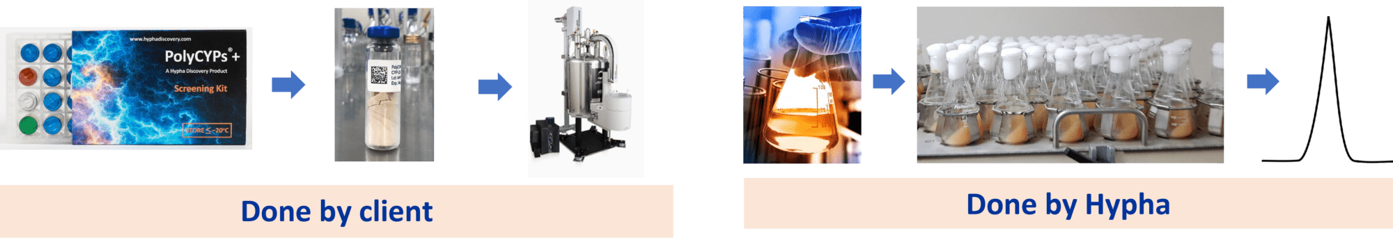 PolyCYPs Metabolite Kits - Hypha Discovery
