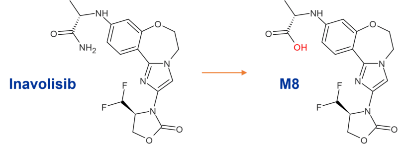 Novel stercobilin metabolites of inavolisib
