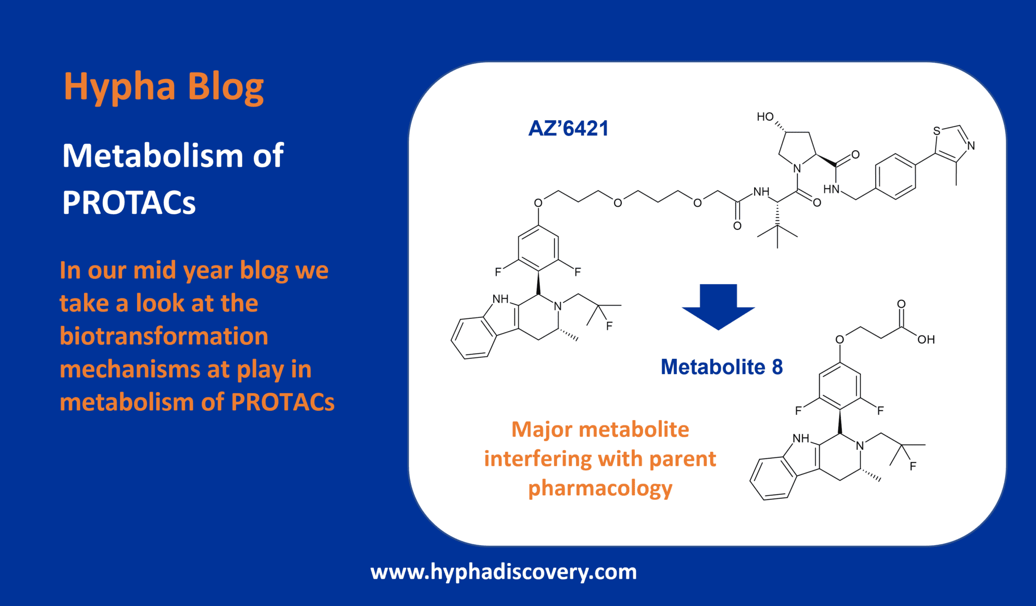 LipMetE – A useful tool for relating lipophilicity to metabolic ...