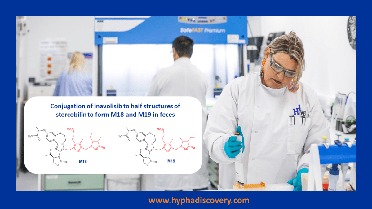 Hypha Discovery - Experts in metabolite synthesis, purification and MetID