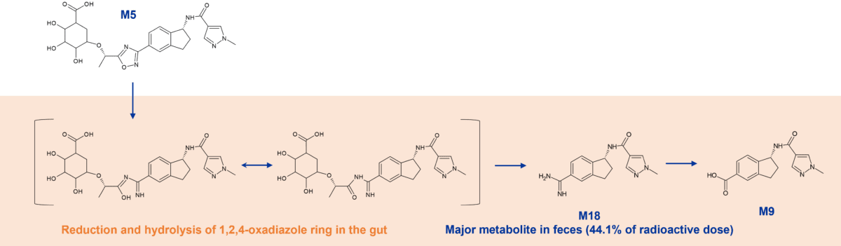 Major biotransformation routes of aficamten