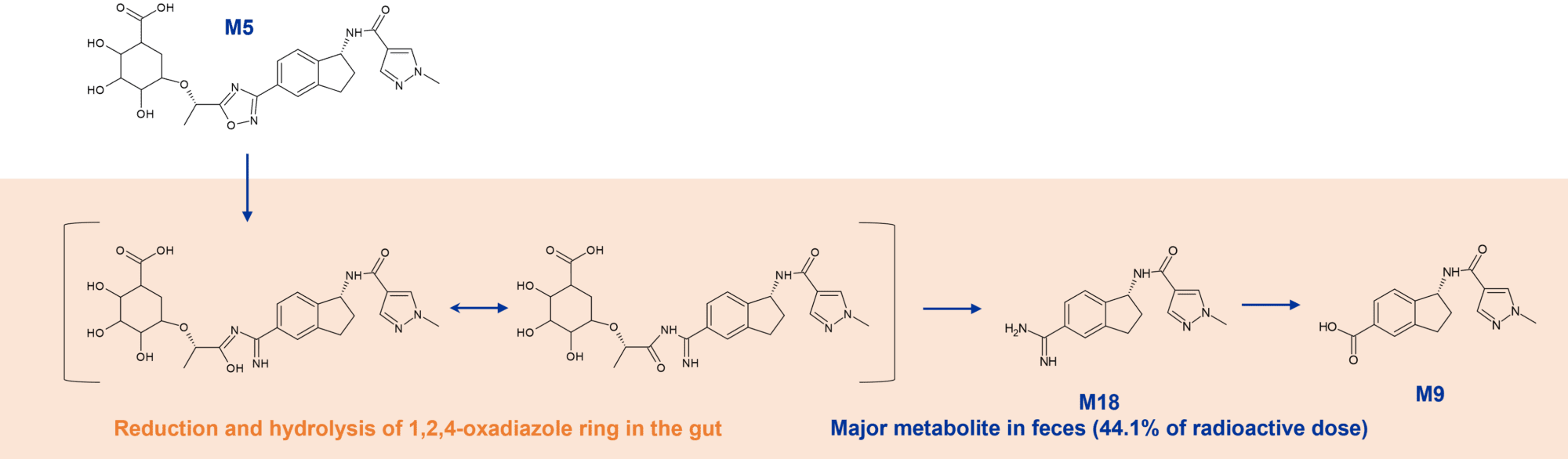 Major biotransformation routes of aficamten