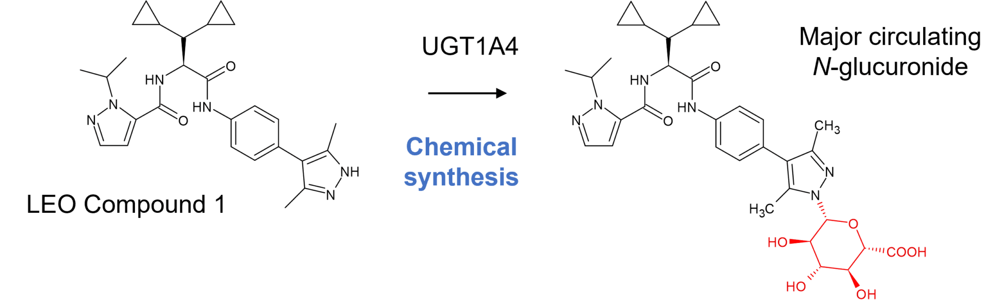 Glucuronide synthesis - Hypha Discovery