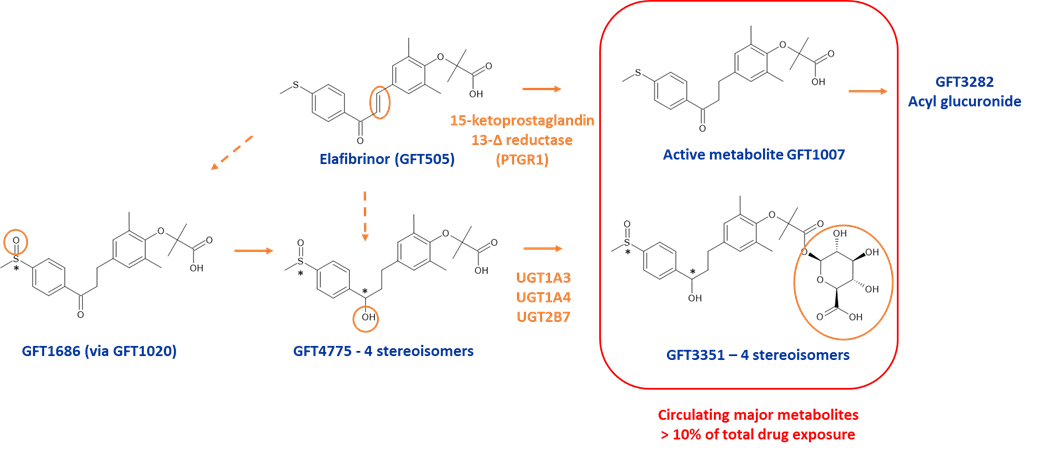 Metabolism of 2024 FDA Approved Small Molecules