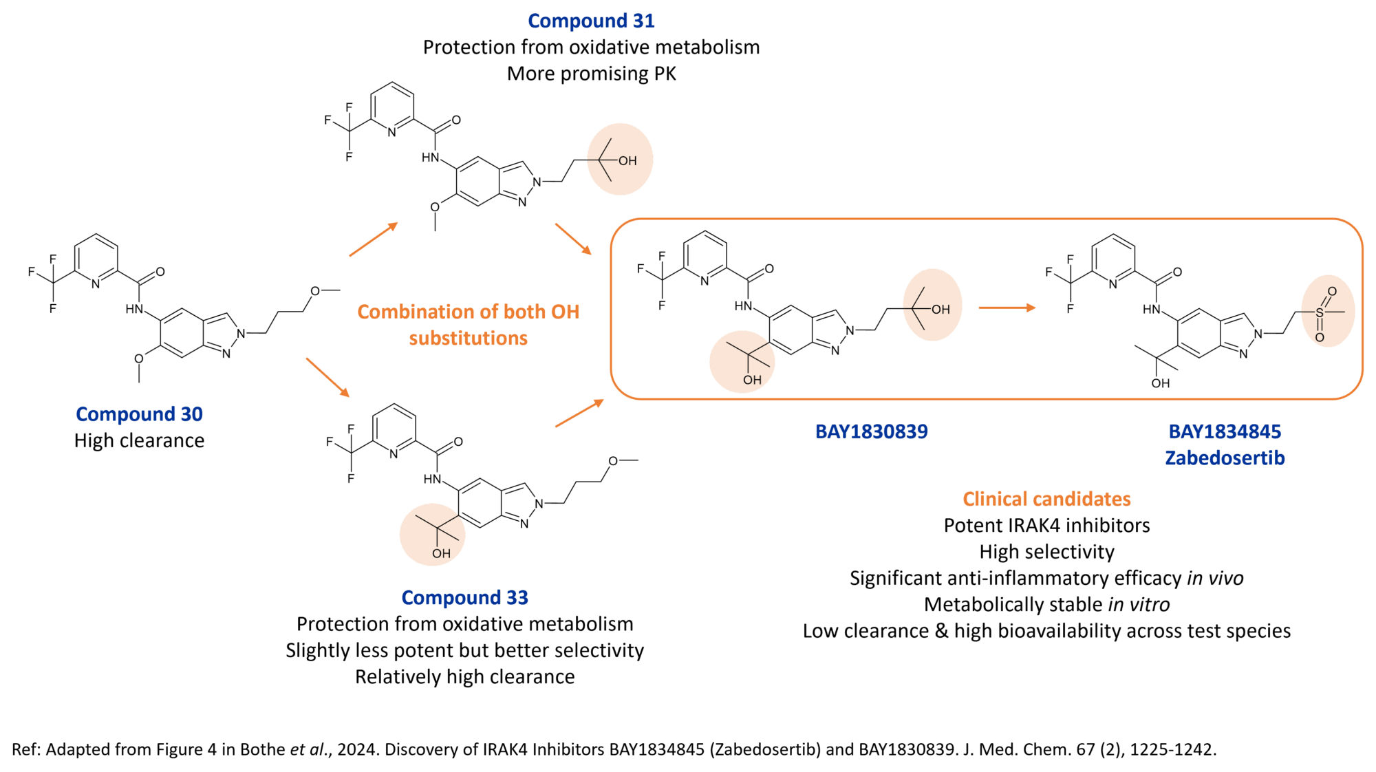Small but mighty: the impact of tertiary alcohols in drug design