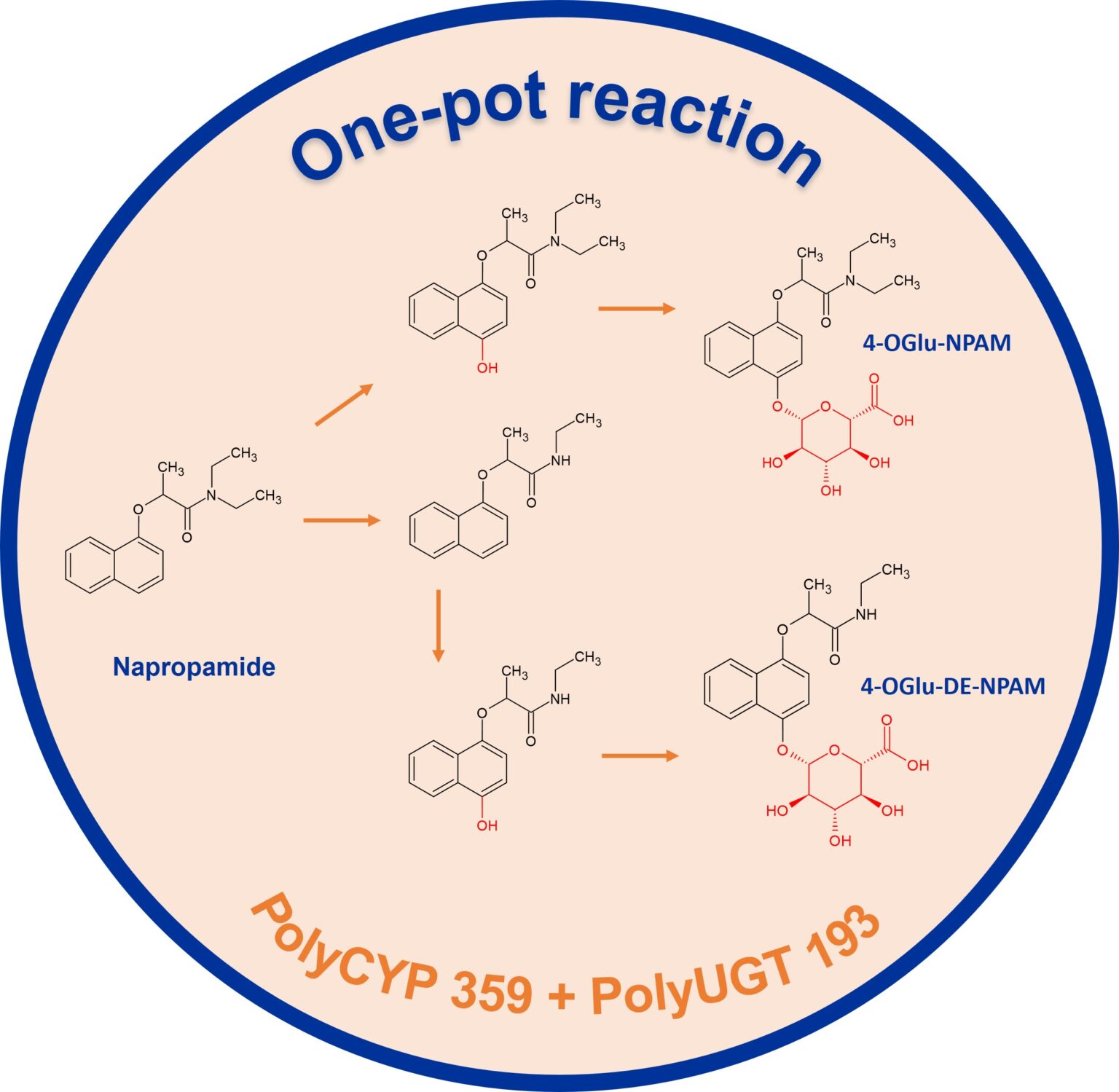PolyUGTs Metabolite Kits - Hypha Discovery